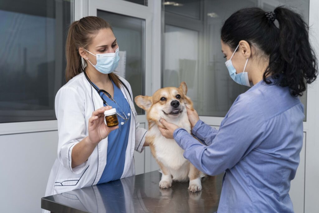 Cary, IL 60013 Veterinary Services | The Animal Doctor